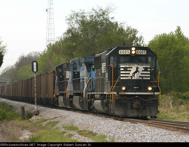 NS 6665